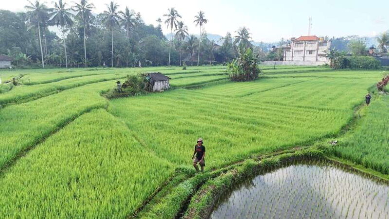 Bali:Sidemen tour guide - The Itinerary in Detail