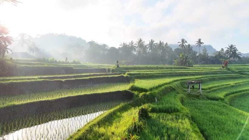 Bali:Sidemen tour guide - Practical Details and Value