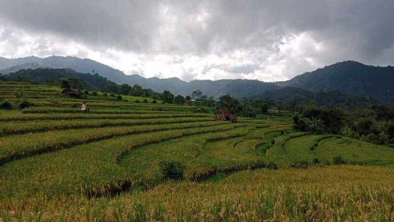 Bali:Sidemen tour guide - FAQ