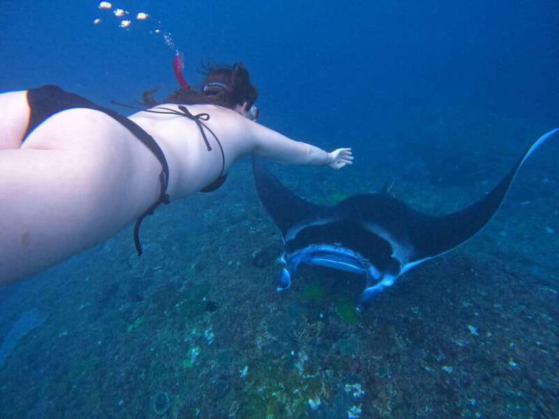 Bali:Snorkling with manta and west trip Nusa Penida - Key Points