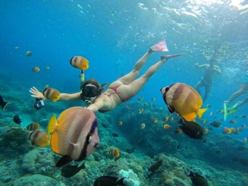 Bali:Snorkling with manta and west trip Nusa Penida - FAQ