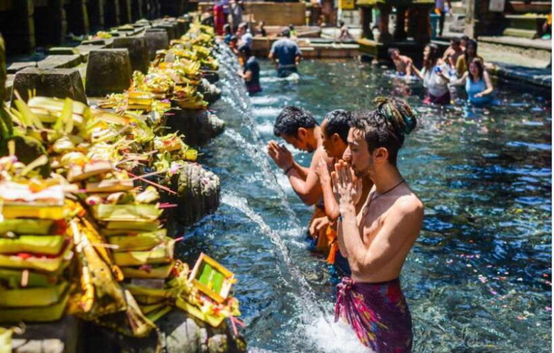 Bali:Tirta Empul, Kanto Waterfall & Rice Terrace local guide - Key Points