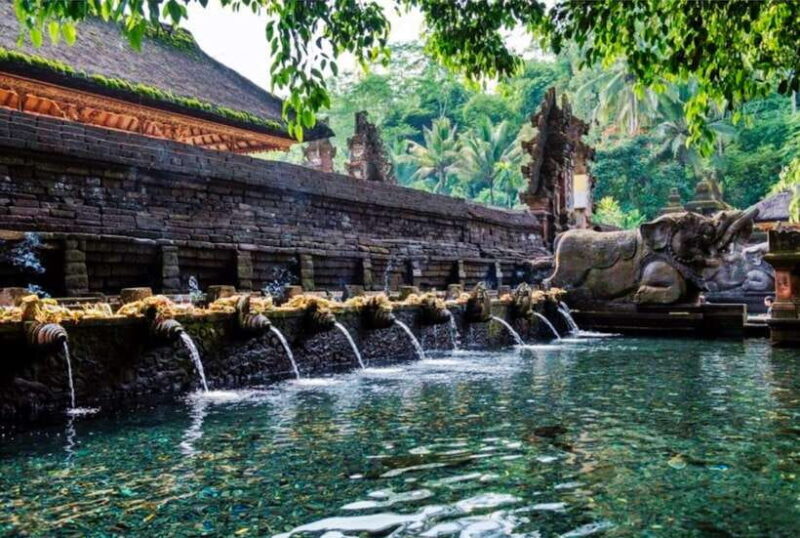 Bali:Tirta Empul, Kanto Waterfall & Rice Terrace local guide - The Practical Side of the Tour