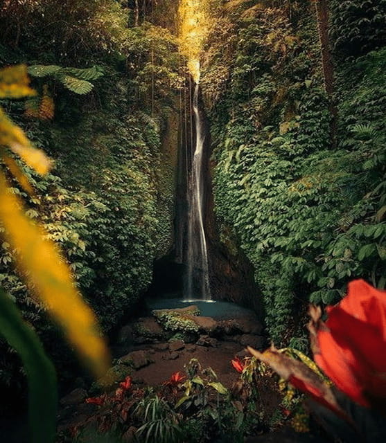 Bali:Ulun Danu, Waterfalls, Handara Gate, Cofee Planta Tour - The Practicalities: What to Know