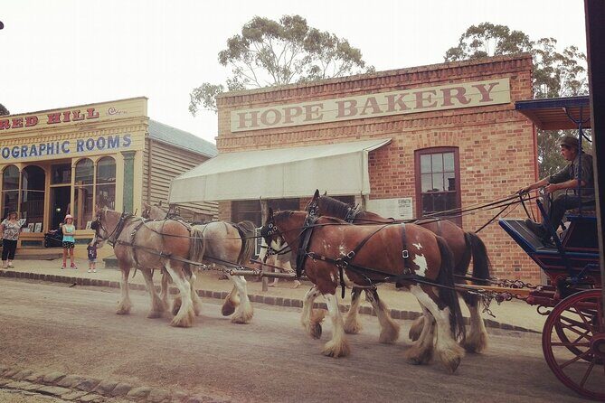 Ballarat Gold Fields - Sovereign Hill & Winery Tour - Who Will Love This Tour?