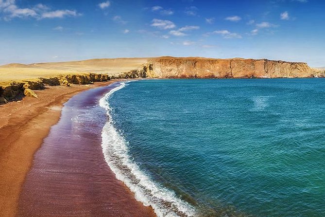 Ballestas Islands and Paracas Reserve From San Martin Port - Inclusions and Meeting Details