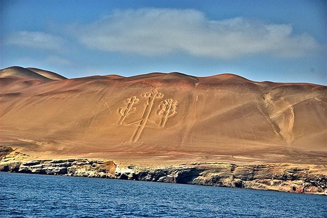 Ballestas Islands Group Tour From Paracas - What to Expect on the Ballestas Islands Tour