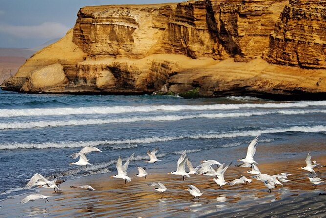 Ballestas Islands & National Reserve of Paracas From Ica - Weather Policy
