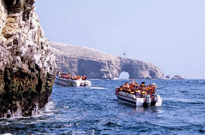 Ballestas Islands Tour - Introduction