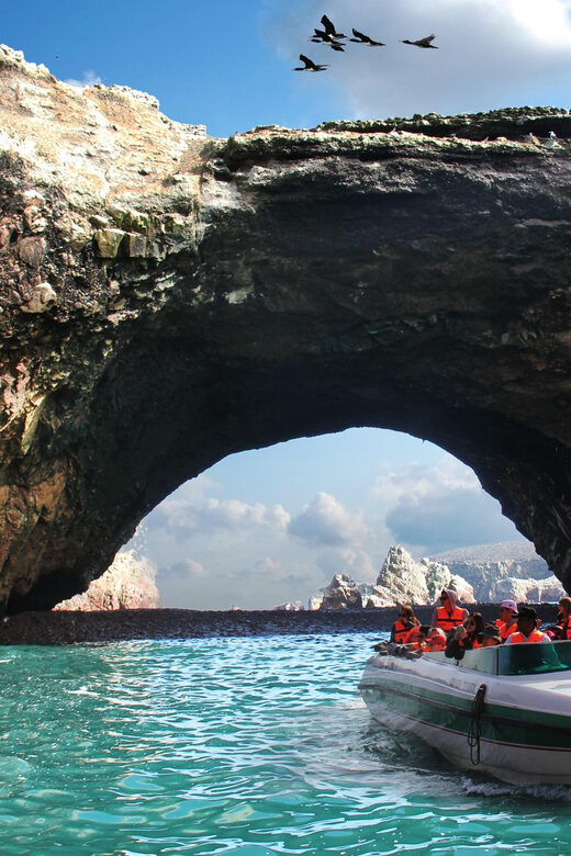 Ballestas Islands Tour - Final Thoughts