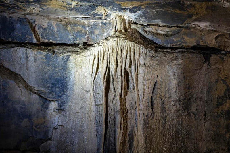 Ballyvaughan: Aillwee Burren Experience Entry Ticket - Exploring the Ballyvaughan Aillwee Burren Experience: An Authentic Irish Adventure