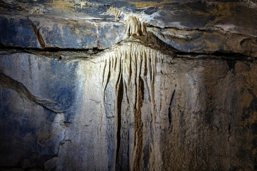 Ballyvaughan: Aillwee Burren Experience Entry Ticket - Who Will Love This Tour?