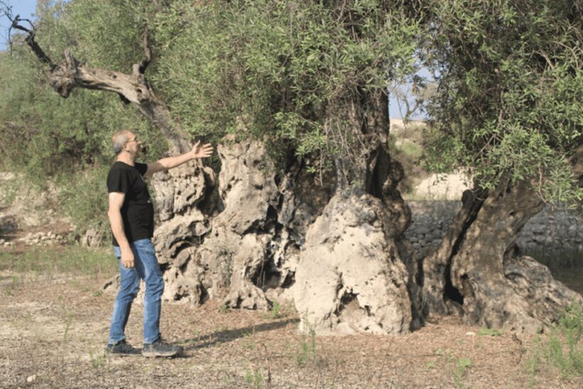 Balones: Guided tour & Tasting - FAQ