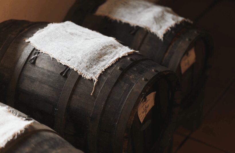 Balsamic Vinegar Tasting & Barrel Tour near Parma & Reggio - Practical Information & Value