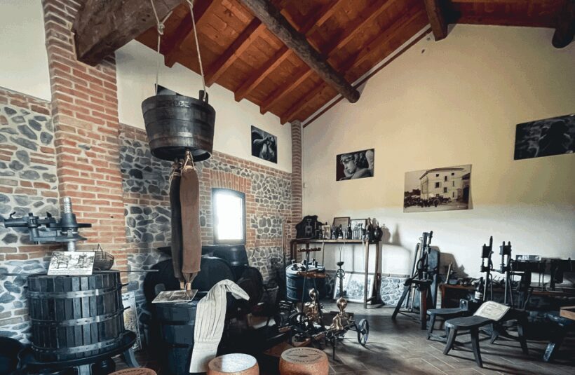 Balsamic Vinegar Tasting & Barrel Tour near Parma & Reggio - The Sum Up