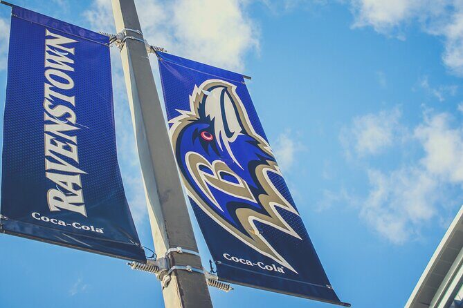 Baltimore Ravens Football Game Ticket at M&T Bank Stadium - Who Should Consider This Experience?
