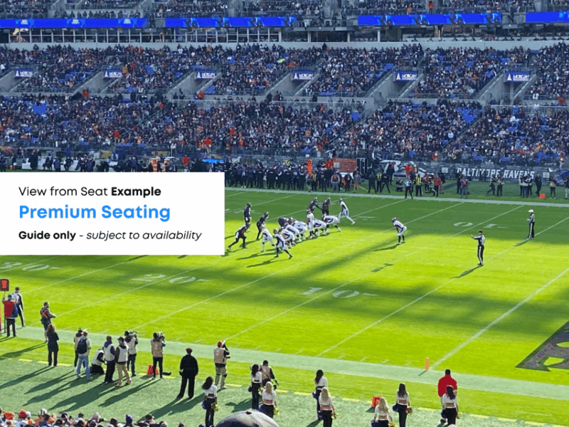 Baltimore: Ravens Football Game Ticket at M&T Bank Stadium - Who Should Consider This Experience?