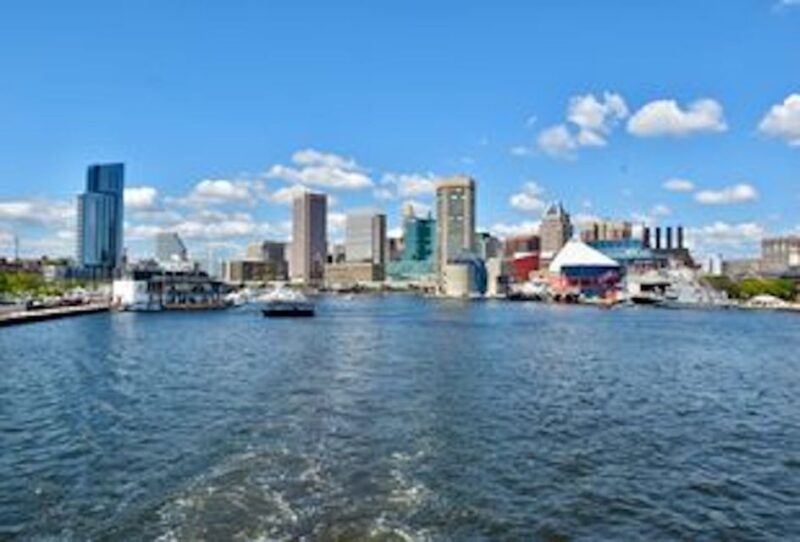 Baltimore: Thanksgiving Day Lunch Cruise - Authentic Reviews and Insights