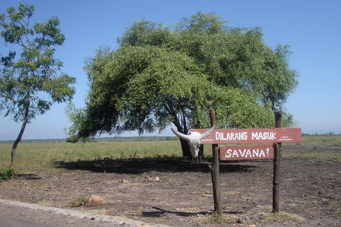Baluran Trip - Introduction: What’s the Baluran Trip All About?