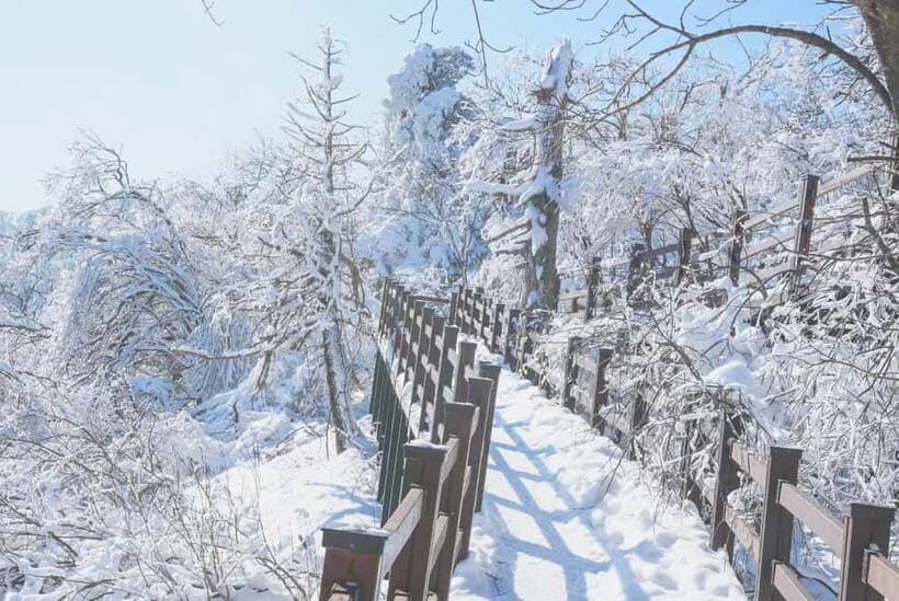 Balwangsan Cable Car & Samyang Ranch One Day Tour - Exploring the Balwangsan Cable Car & Samyang Ranch One Day Tour