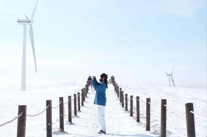 Balwangsan Cable Car & Samyang Ranch One Day Tour - The Itinerary Breakdown: What You Can Expect