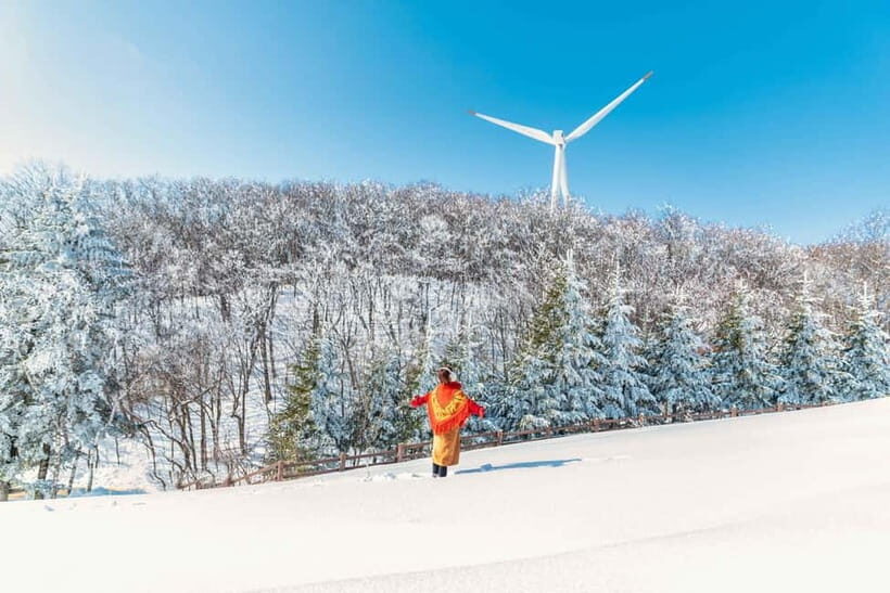Balwangsan Cable Car & Samyang Ranch One Day Tour - FAQ