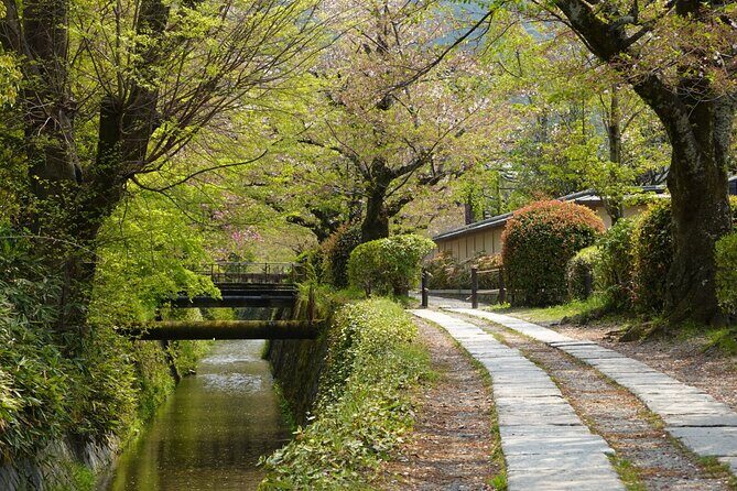 Bamboo Artistry, Zen Serenity & with Ginkaku-ji in Kyoto - Authenticity and Value