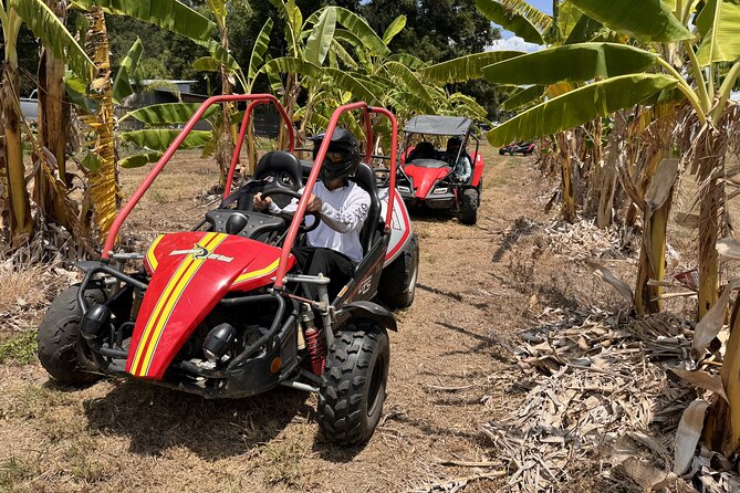 Bamboo Dune Buggy Tour - FAQ