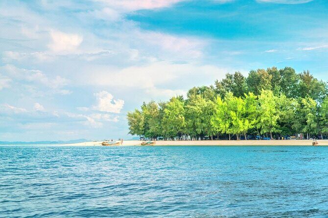 Bamboo Island Half Day Fishing Trip from Pattaya - FAQ