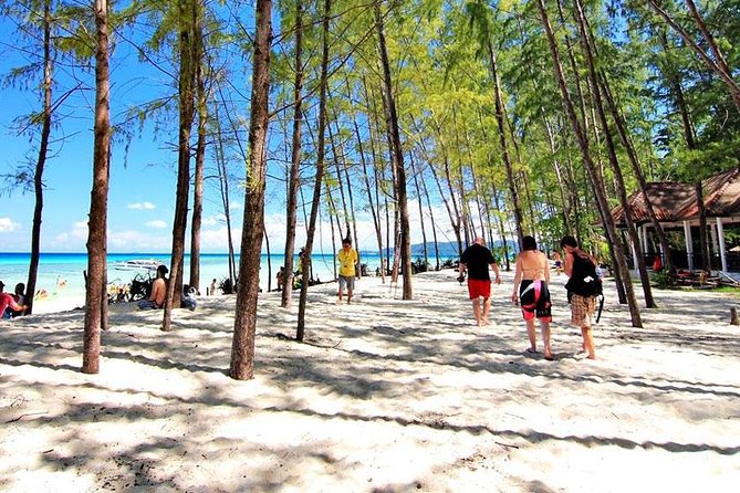 Bamboo Island, Maya Beach and Phi Phi Islands One Day Tour from Krabi - Practical Details: Transport, Group Size, and Booking