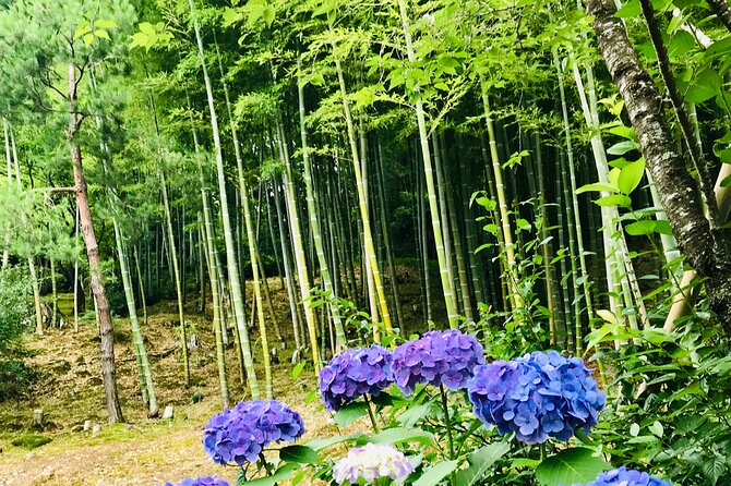 Bamboo LED Lantern Making Experience in Kyoto Arashiyama - Booking Information and Recommendations