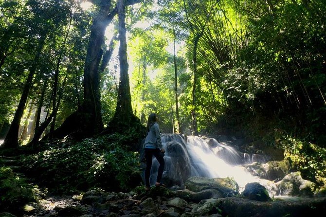 Bamboo Rafting and Jungle Tour From Phuket - FAQ