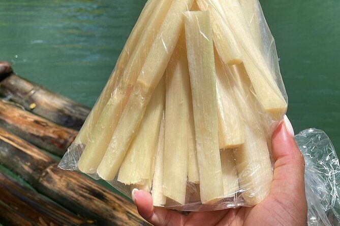 Bamboo Rafting at Martha Brae River & Lunch At Scotcheis - The Sum Up