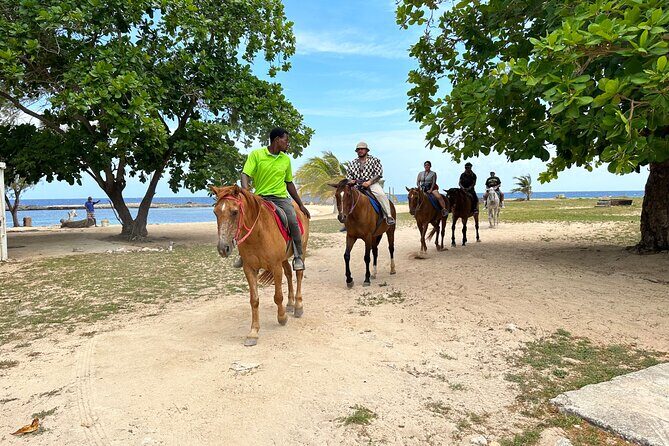 Bamboo Rafting & Horseback Ride n Swim Guided Tour In Montego Bay - Who Should Consider This Tour?