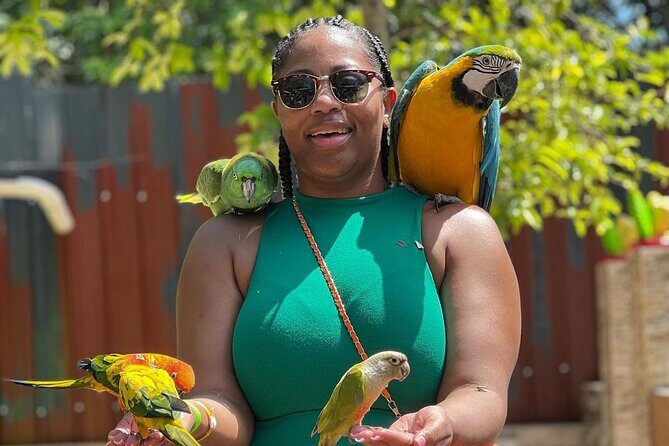 Bamboo Rafting Limestone Massage, Exotic bird and Herb Farm Tour - Introduction: A Unique Blend of Nature and Relaxation in Jamaica