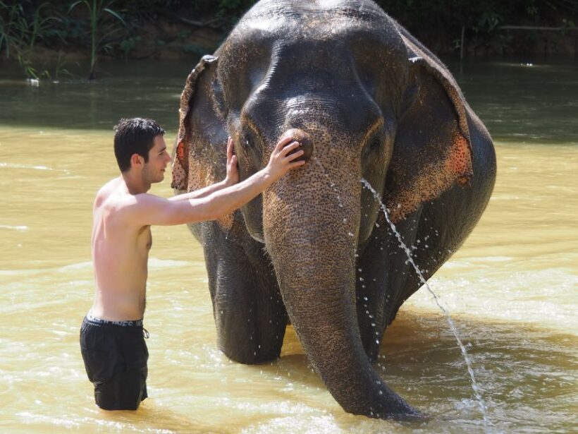 Bamboo Rafting, Waterfall, lunch, Elephant, and Turtle Tour - Final Thoughts