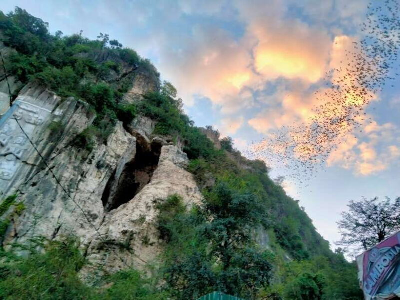 Bamboo Train, Banann Temple, Fruit Bat, Bat Cave, Sunset - The Sum Up