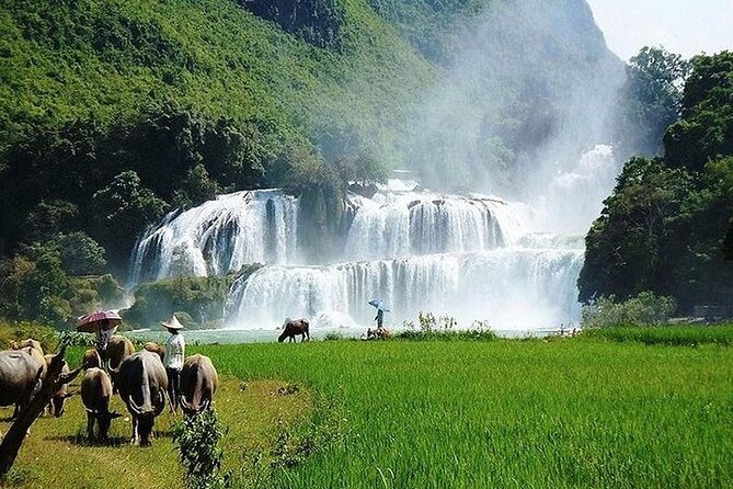 Ban Gioc Waterfall 2 Days 1 Night From Hanoi - Final Thoughts: Who Should Consider This Tour?