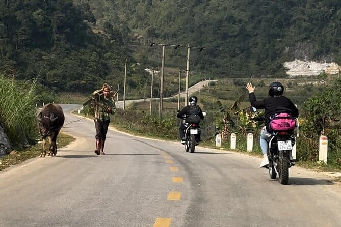 Ban Gioc Waterfall Full-Day With Local Guide - Introduction