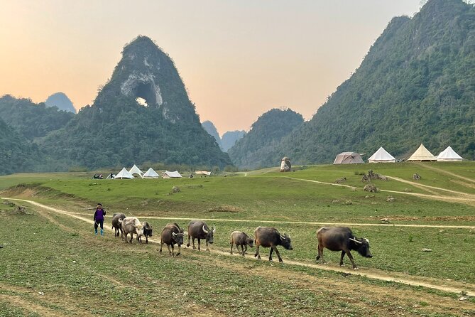 Ban Gioc Waterfall & Mt Angel Eye Full Day Trip with Easy Rider - Wrapping It Up