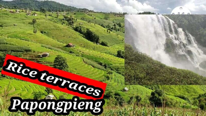Ban Pa Pong Pieng Rice Terraces Private Guided Tour - Practical Details and Tips