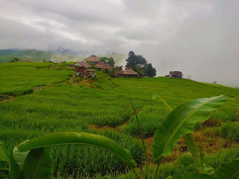 Ban Pa Pong Pieng Rice Terraces Private Guided Tour - Final Thoughts: Who Will Love This Tour?