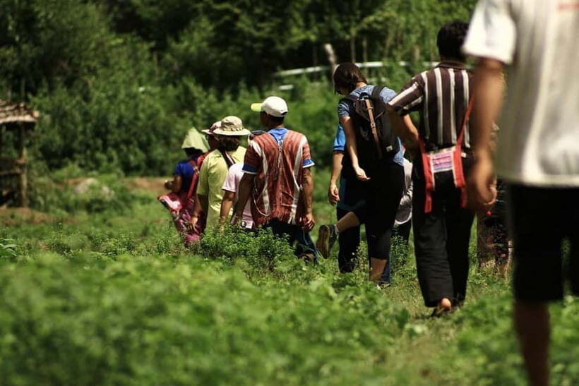 Ban Pha Mon Hike Into the Heart of Lahu Culture - What’s Included & How It Adds Value