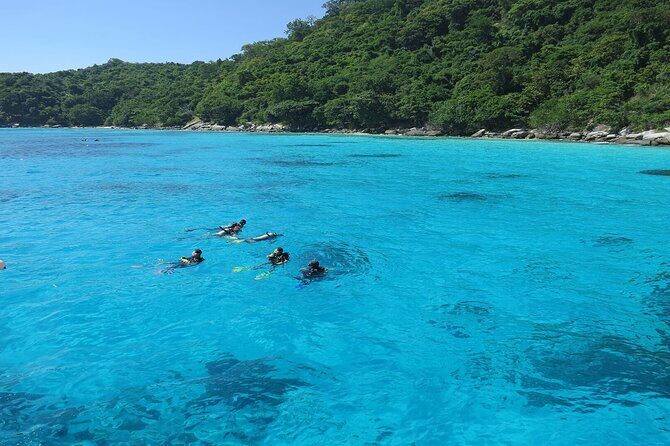 Banana Beach Day Trip  Your Everyday Escape - Frequently Asked Questions