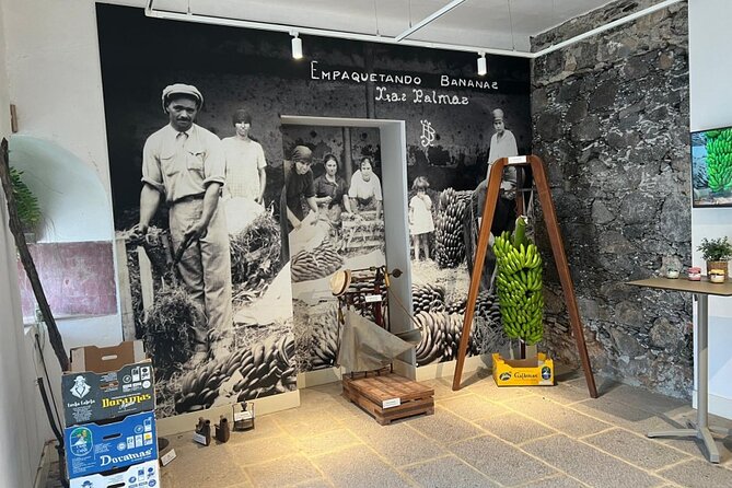 Banana Museum, Rum Distillery & Winery With Tasting: Premium Tour - What to Expect at the Banana Museum