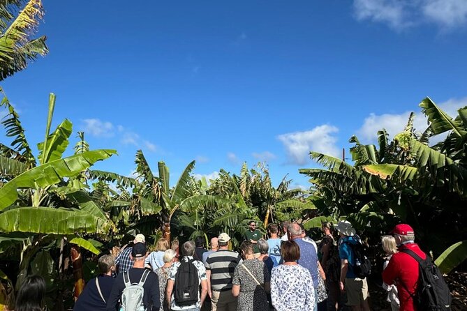 Banana Museum, Rum Distillery & Winery With Tasting: Premium Tour - Tasting Experiences: Rum, Wine, and Mojo Sauce