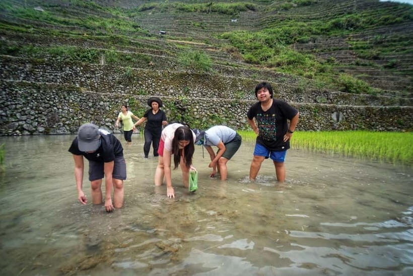 BANAUE:BATAD Rice Terraces with Sagada 4D3N PRIVATE TOUR - Summary