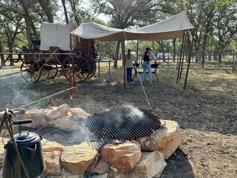 Bandera: Ranch Visit with Longhorns and Horses - What Makes This Experience Special?