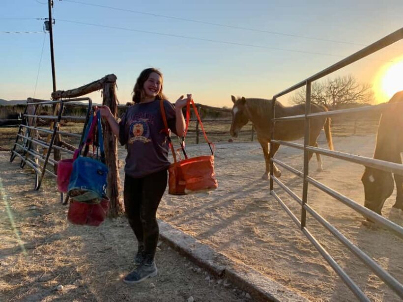 Bandera: Ranch Visit with Longhorns and Horses - The Value of the Tour