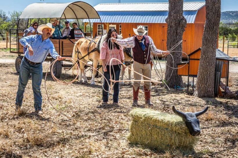 Bandera: Ranch Visit with Longhorns and Horses - Practical Tips for Visitors